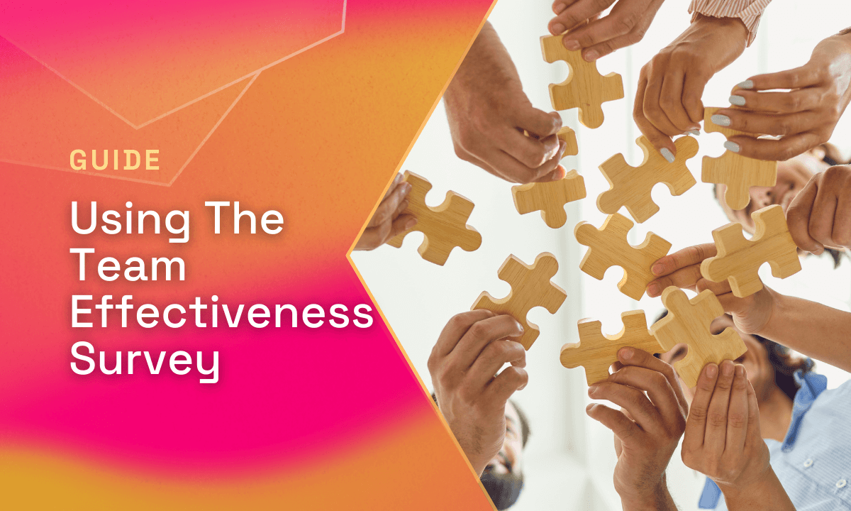 Deeper Signals | High-performance teams: How The Team Effectiveness Survey transforms team dynamics